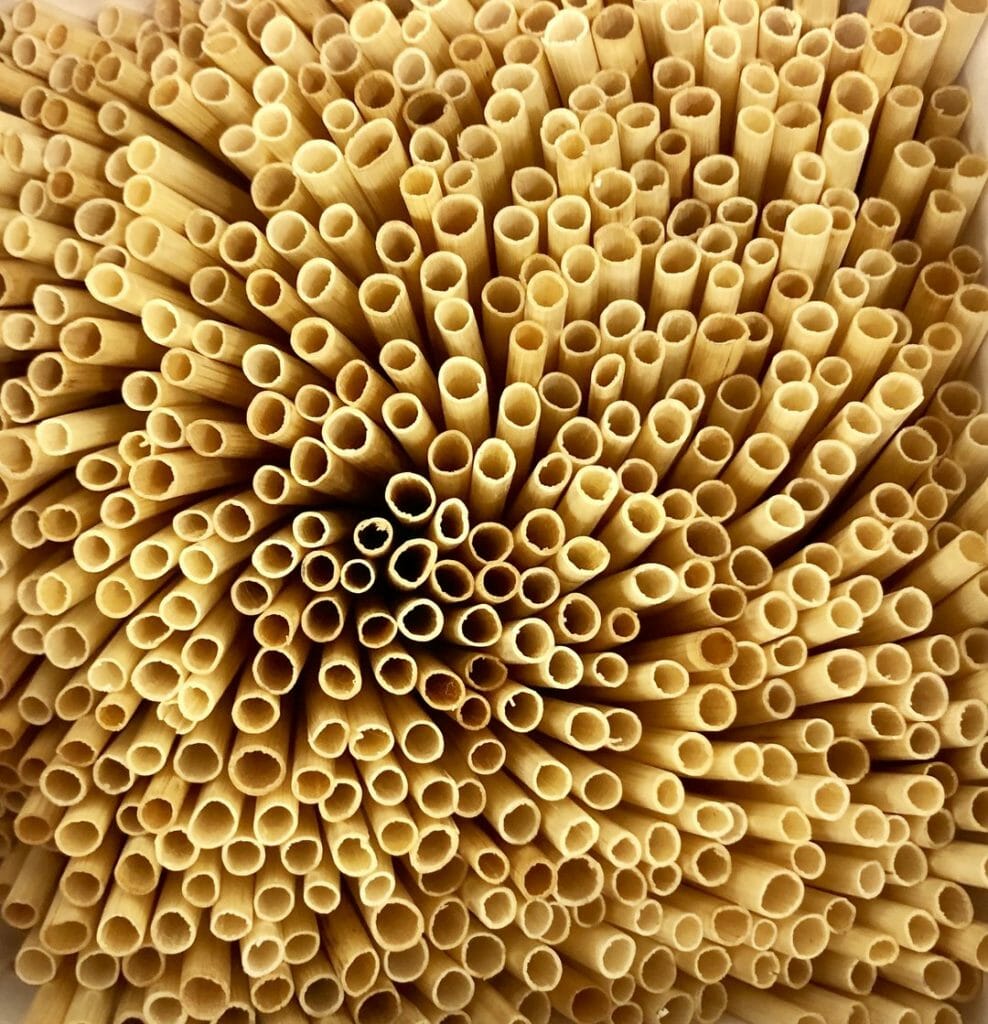 Wheat Straws Gluten Free - Wicked Gluten Free
