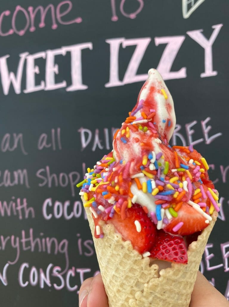 Vegan Ice Cream on Cape Cod - Sweet Izzy - Gluten-Free New England
